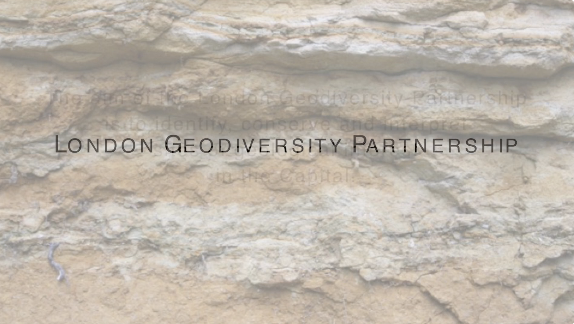 Moving Image – Gail Dickerson